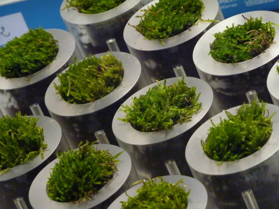 Algae energy at London2011 | Design Indaba