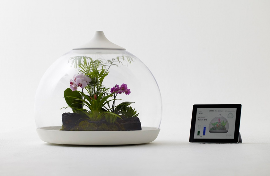 Smart biome | Design Indaba
