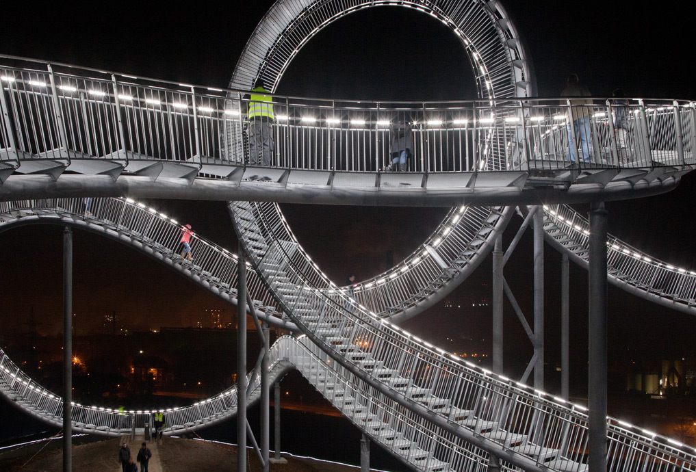 Wild walk | Design Indaba