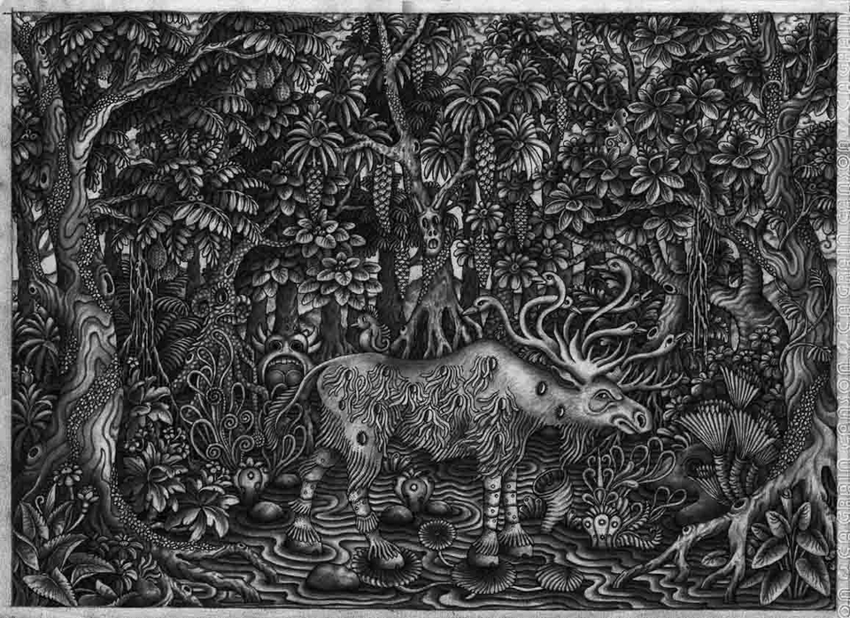 From the Bog | Design Indaba