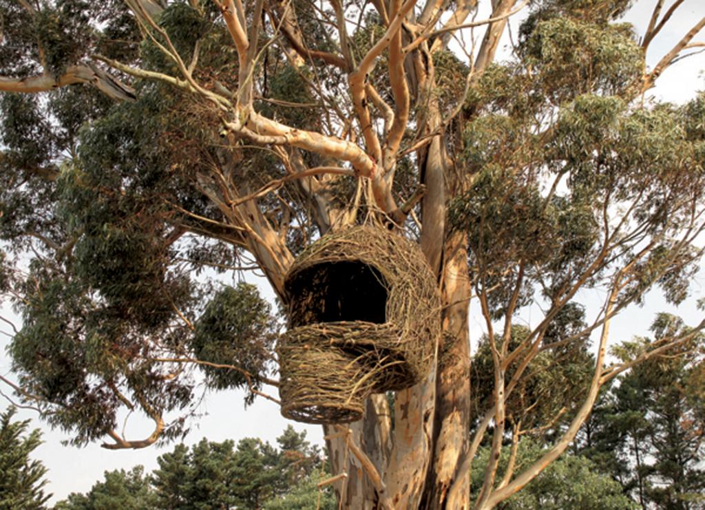 Social nesting | Design Indaba