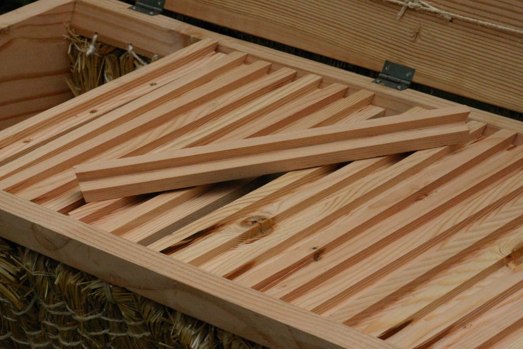 Thrive hive | Design Indaba