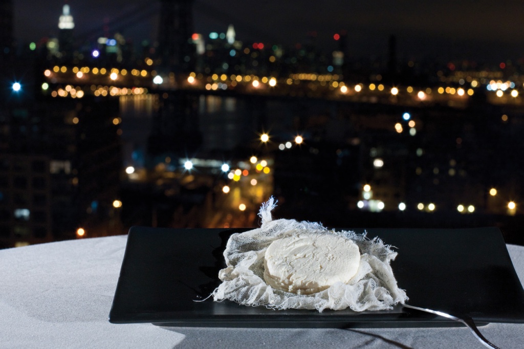 Cheese from humans | Design Indaba