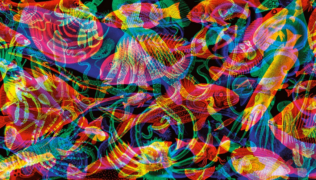 Red green blue | Design Indaba