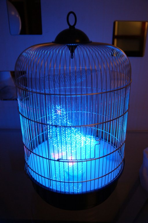 Shadowless | Design Indaba