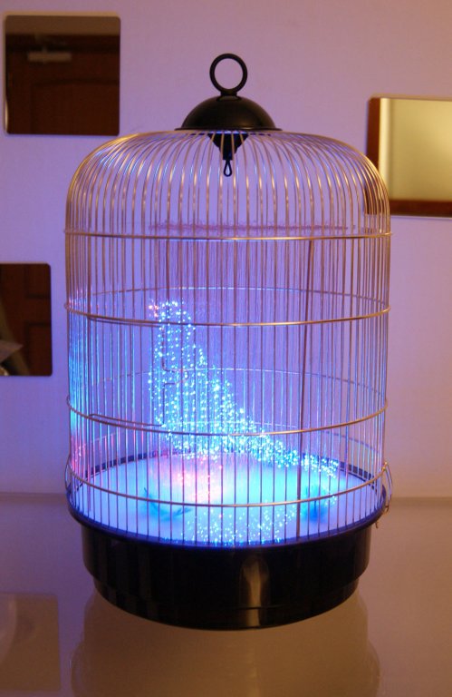 Shadowless | Design Indaba