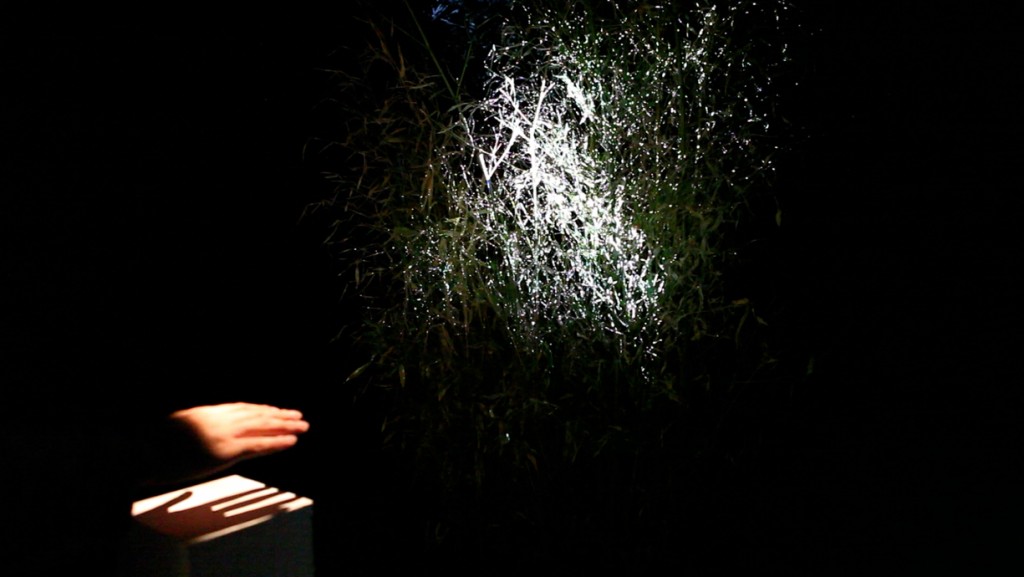 Interactive tree | Design Indaba