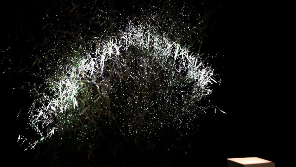 Interactive tree | Design Indaba