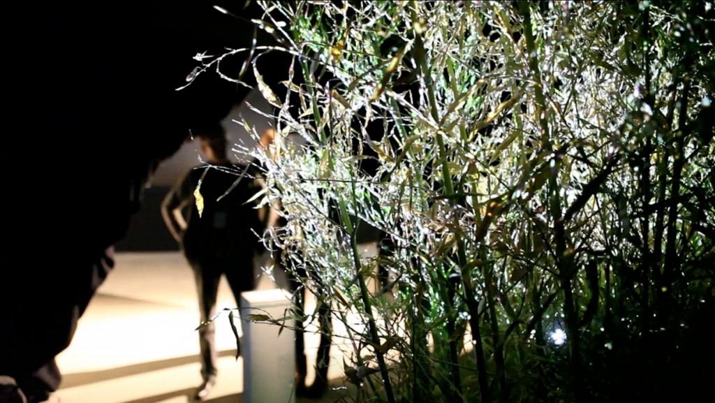 Interactive tree | Design Indaba