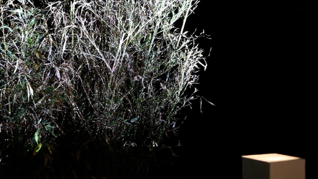 Interactive tree | Design Indaba