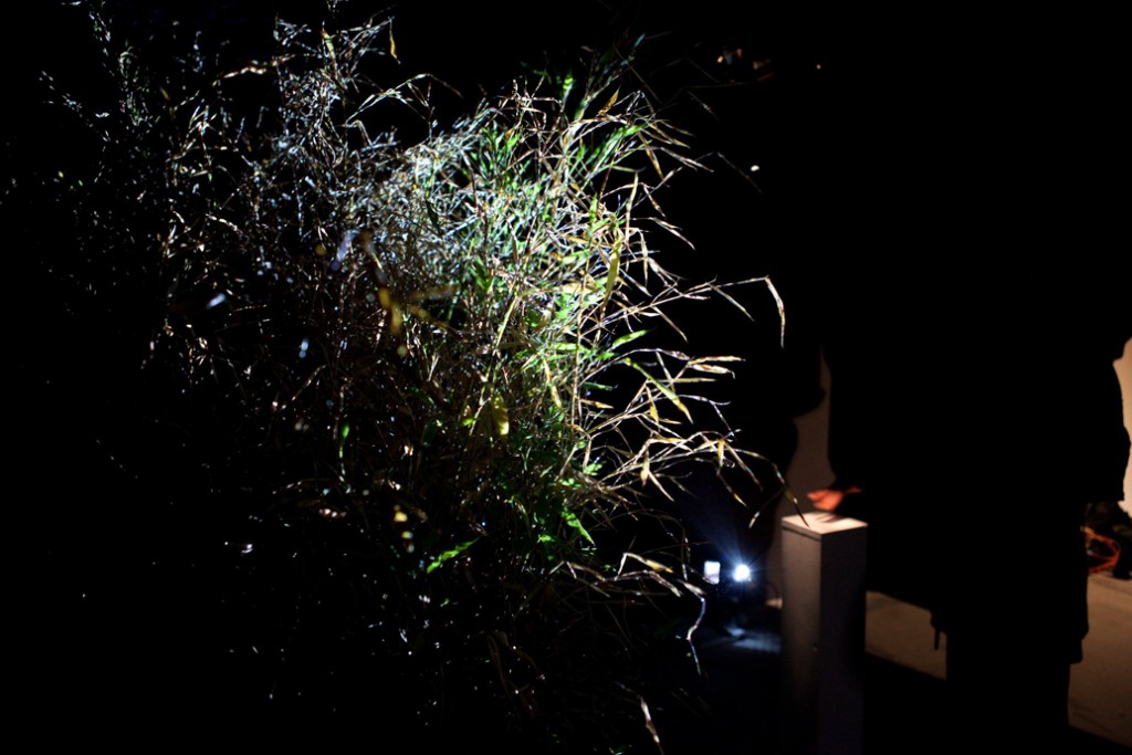 Interactive tree | Design Indaba