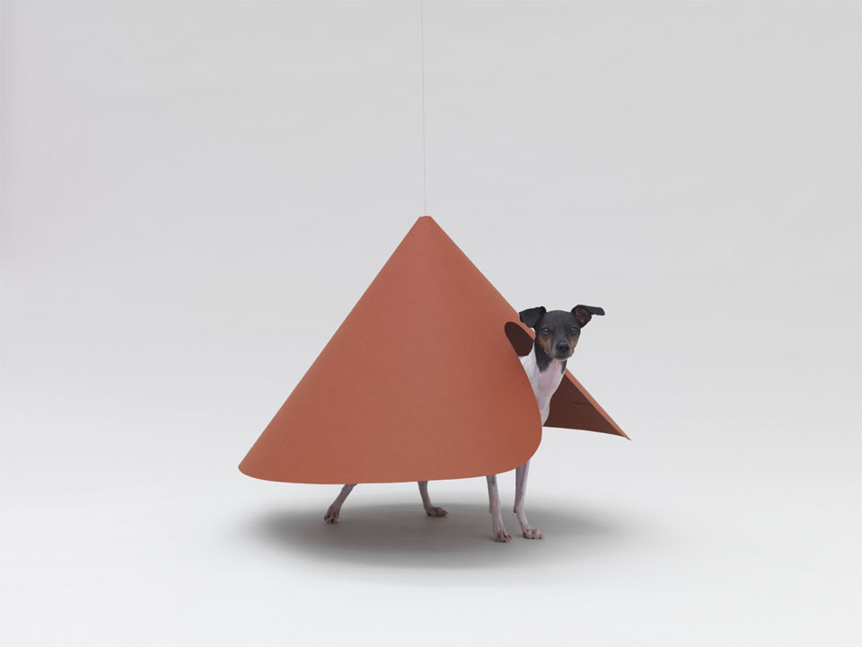 Pet project | Design Indaba