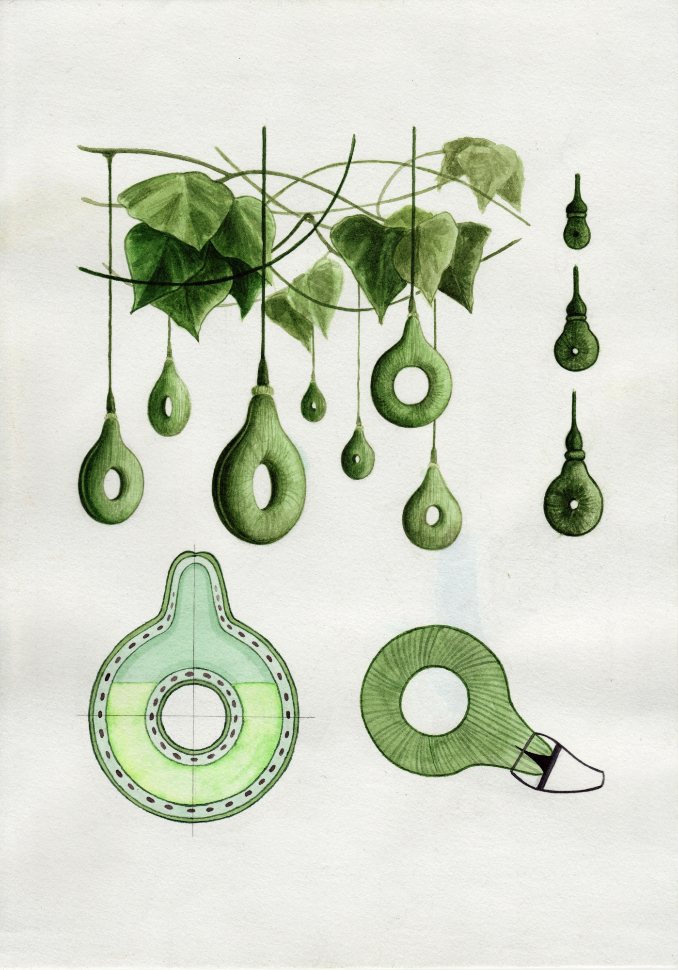 Plant products | Design Indaba