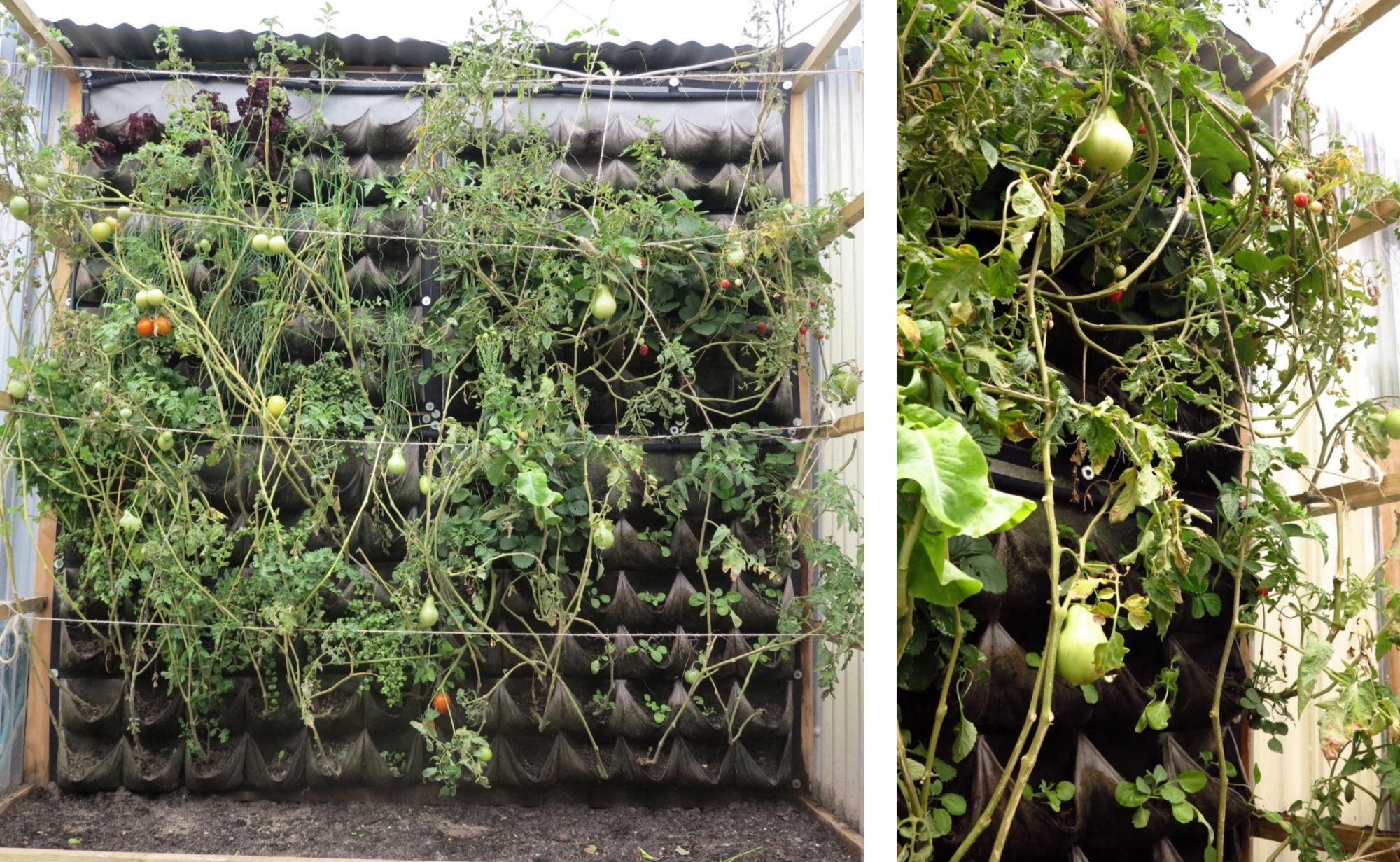 The Green Shack at Design Indaba 2013 | Design Indaba