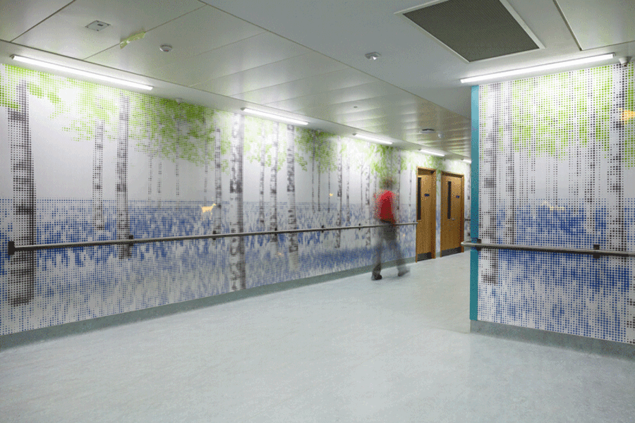Winning Nature Trail | Design Indaba