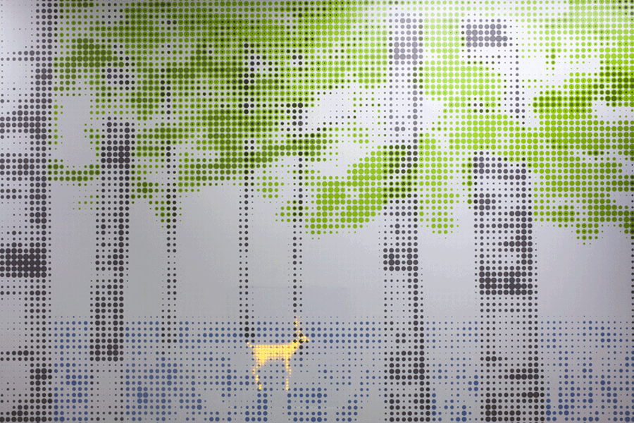 Winning Nature Trail | Design Indaba
