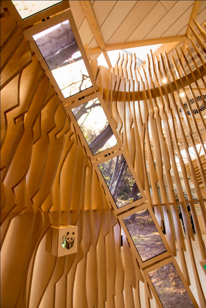 Wildlife experience | Design Indaba