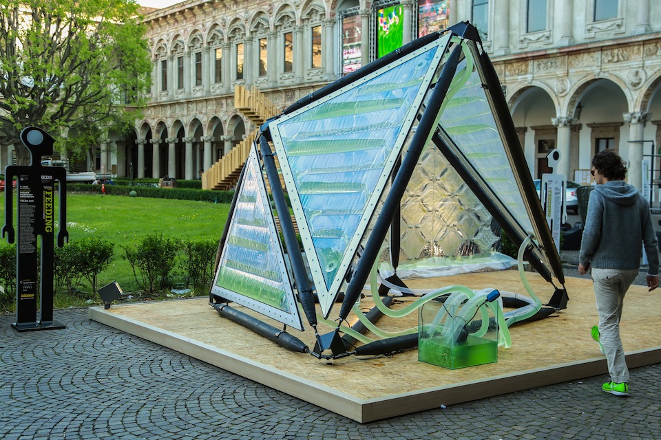 All about algae | Design Indaba