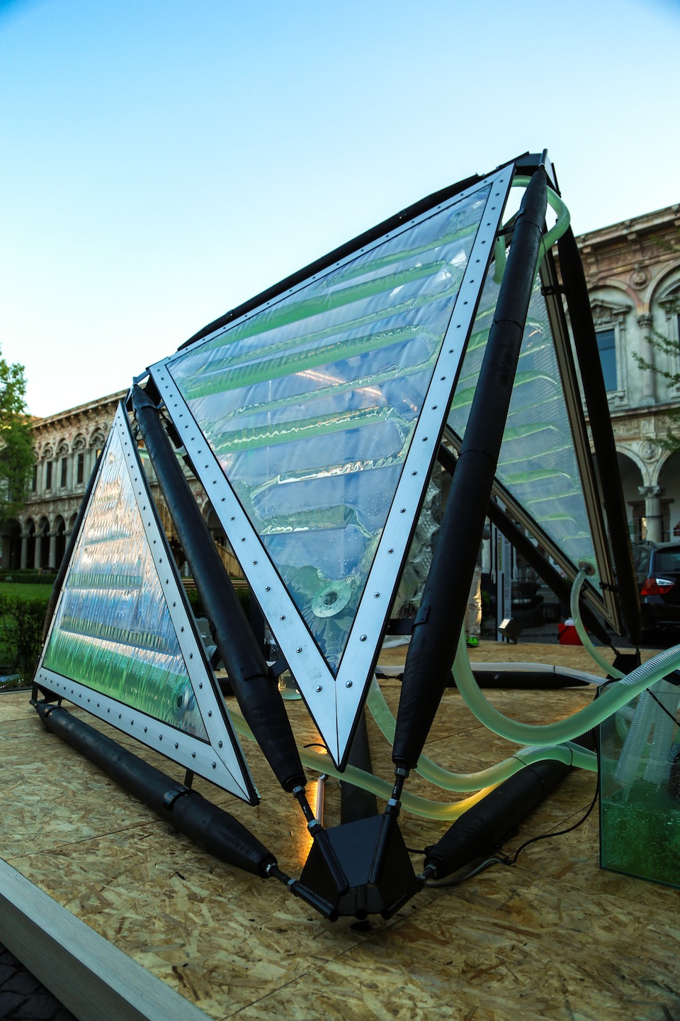 All about algae | Design Indaba