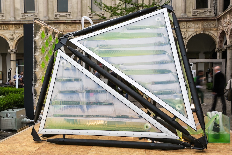 All about algae | Design Indaba