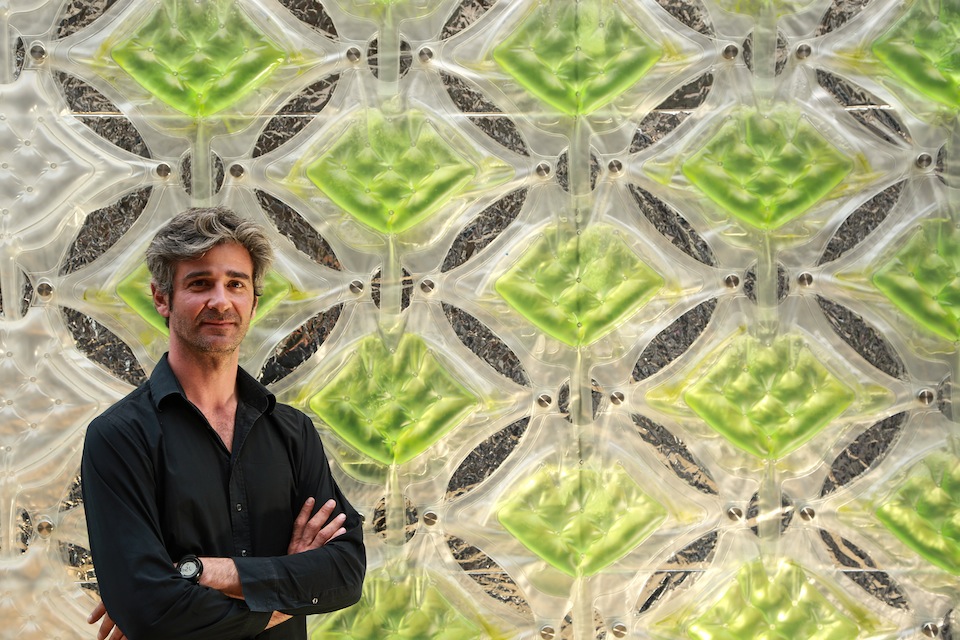 All about algae | Design Indaba