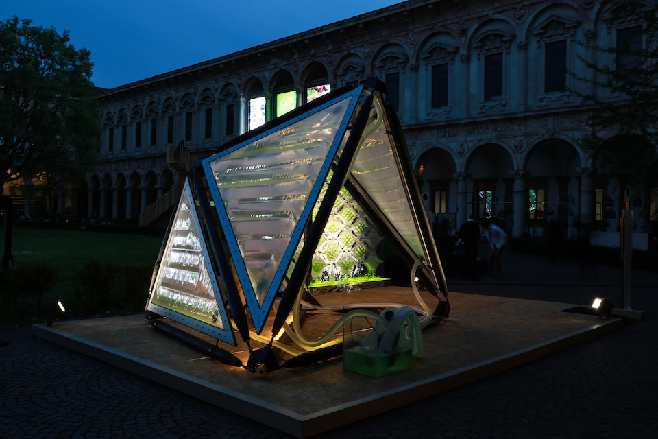 All about algae | Design Indaba