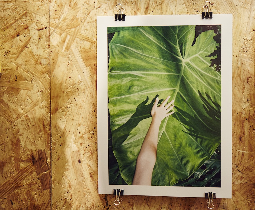 A new leaf | Design Indaba