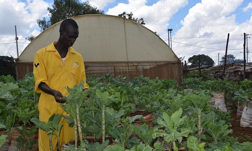 The transformation of Kibera from Africa's largest slum to promised ...