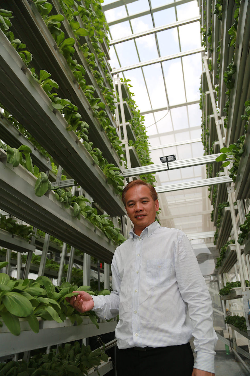 An ocean cleanup project, innovative healthcare and vertically-grown ...