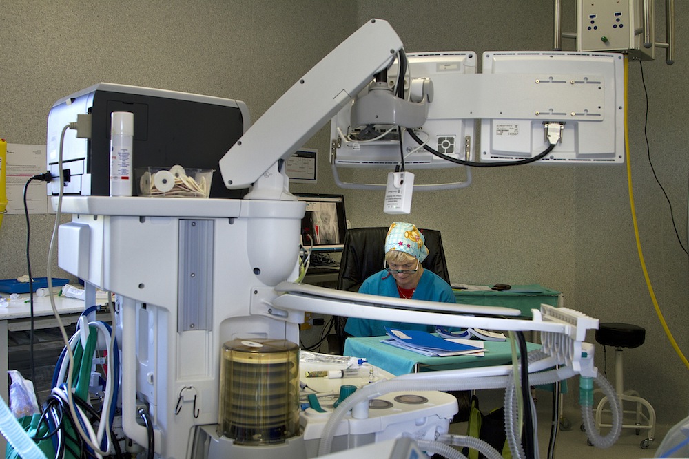 Master of the craft: Orthopaedic surgeon | Design Indaba