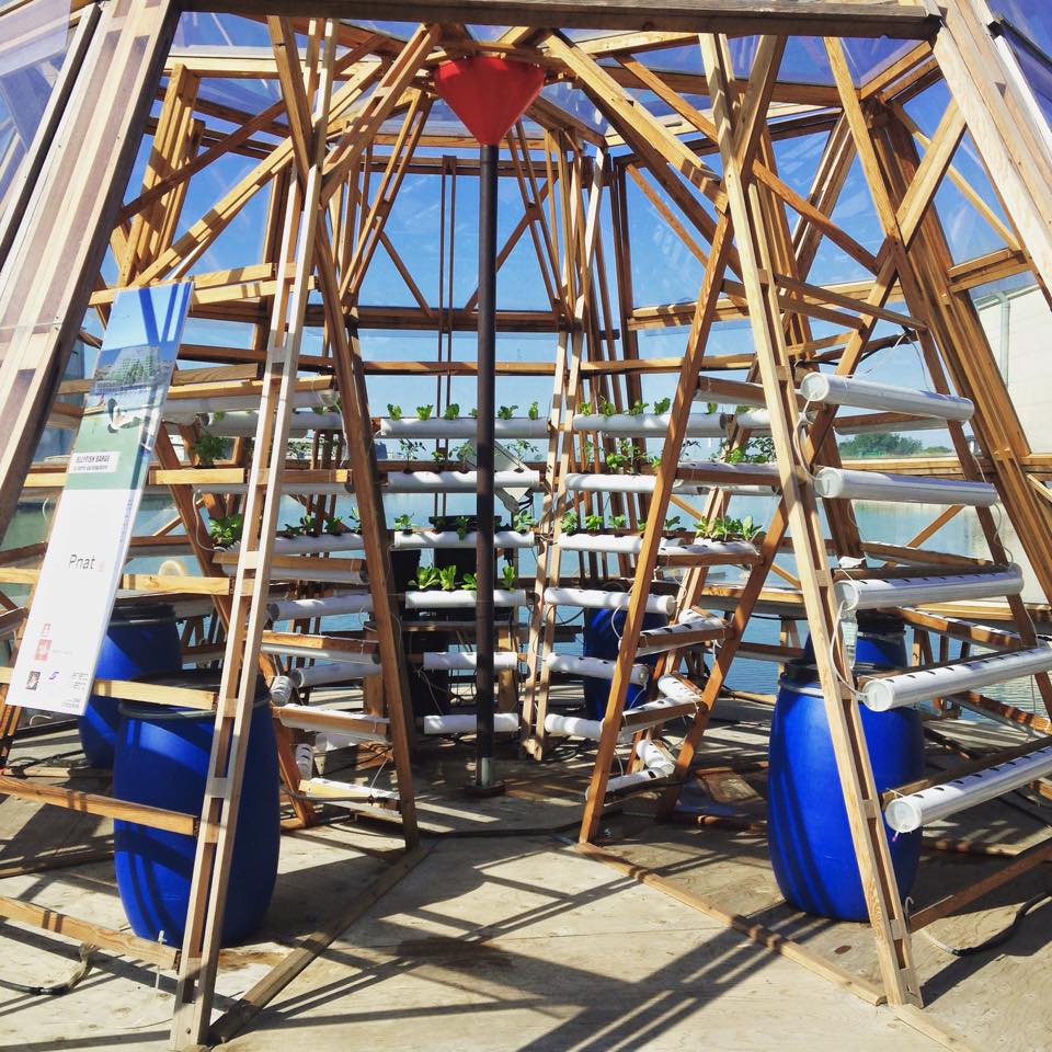 Floating greenhouses could help solve global food security problems ...