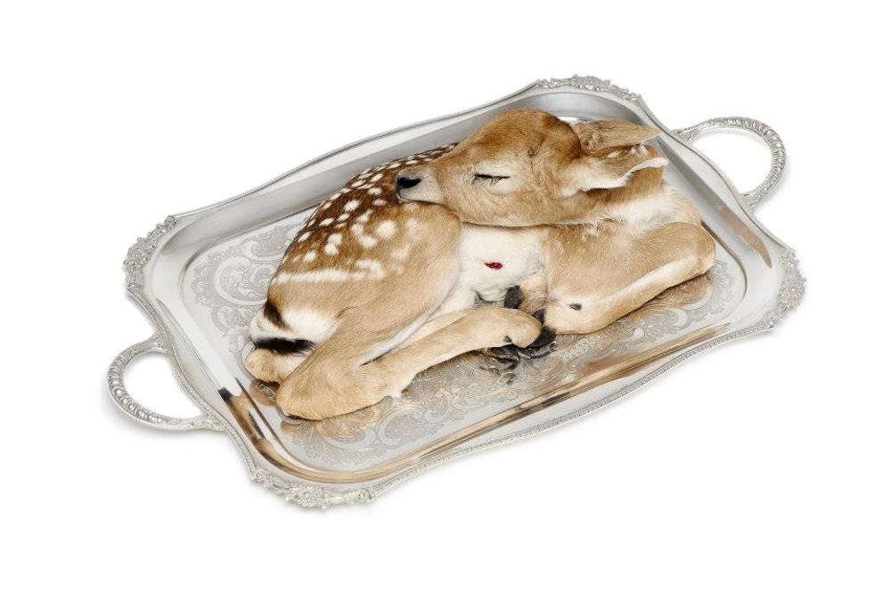 Julia DeVille turns death into art | Design Indaba