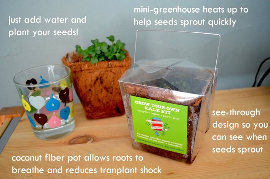 Takeout container turned mini-greenhouse makes growing food a snap ...