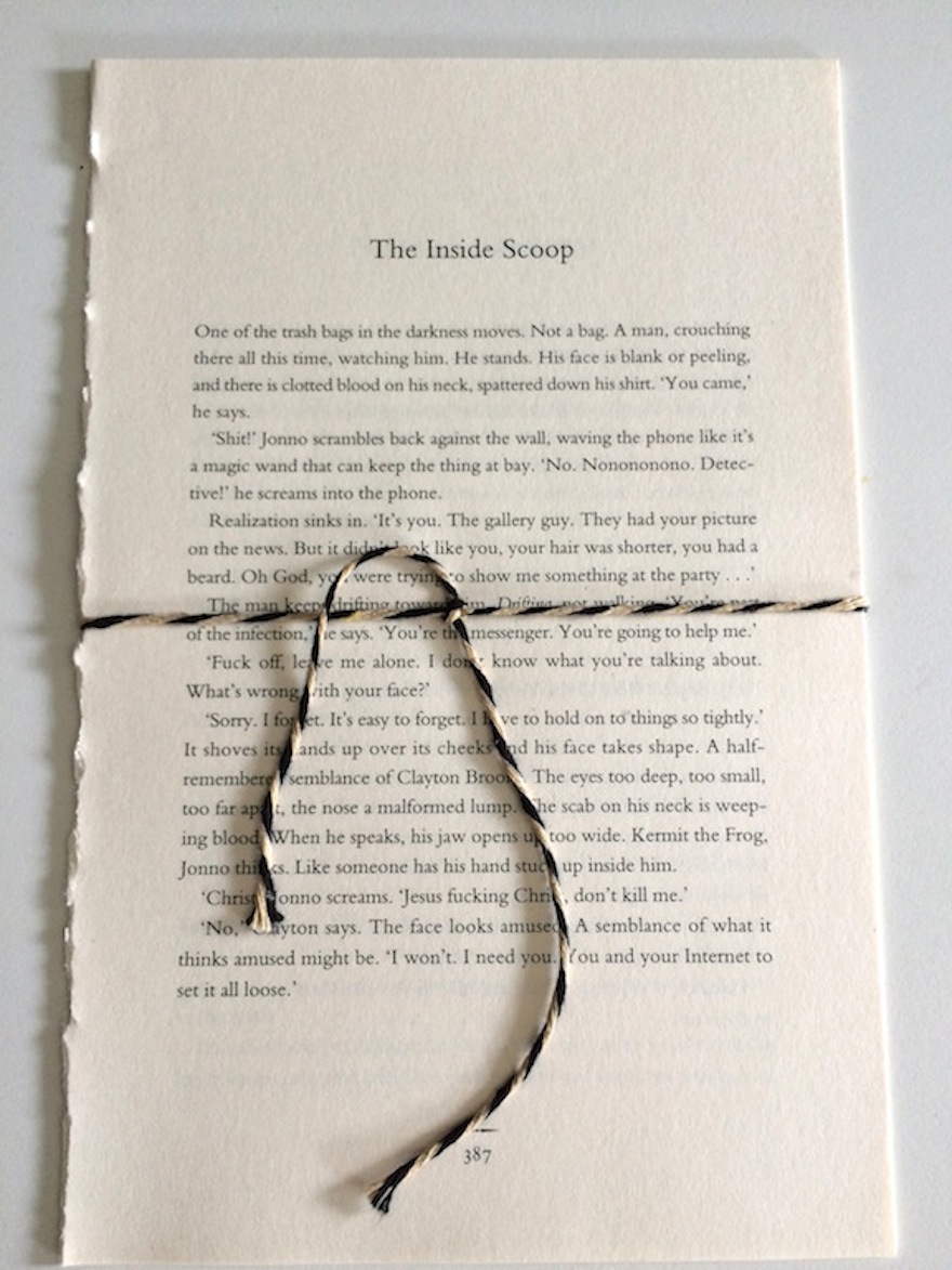 One ripped page from a Lauren Beukes thriller turns into 150 books ...