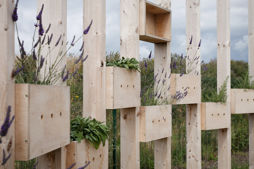 Outdoor classroom grows as students learn | Design Indaba