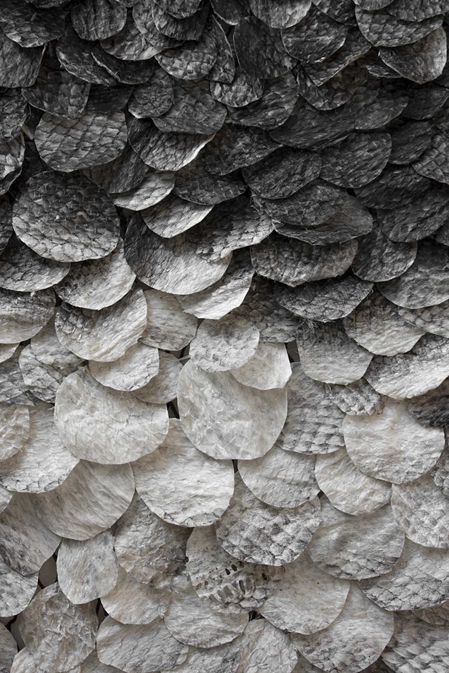 Décor series made out of salmon skin encourages sustainable fishing ...