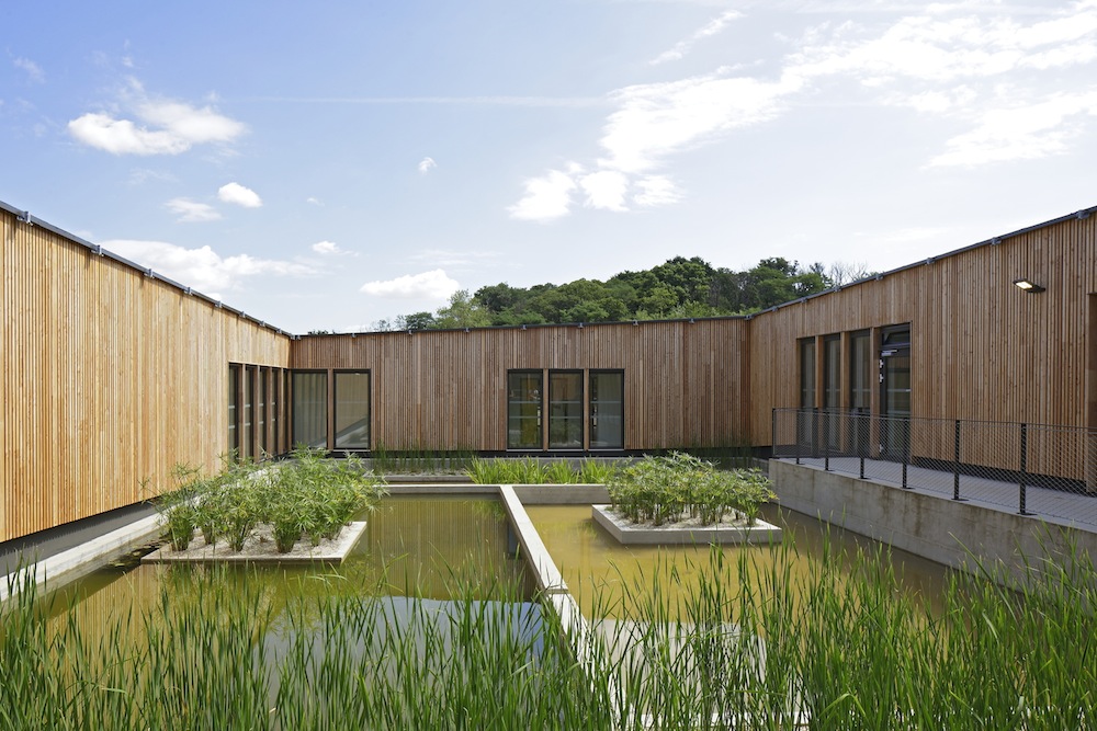 This thoroughly modern French school is located in protected woodland ...