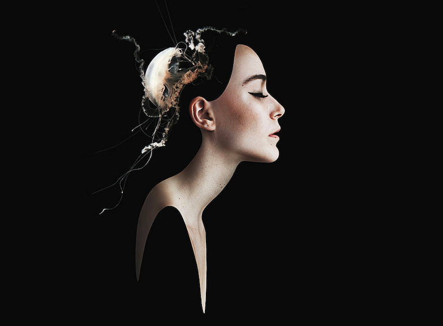 Reclusive artist captures her journey in a photographic diary | Design ...