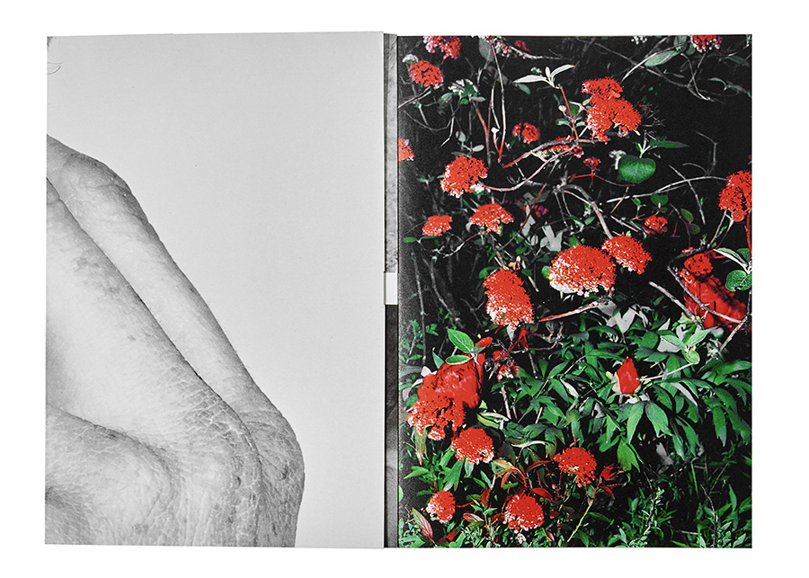 Famed photographer Walter Pfeiffer collaborates with ECAL students ...