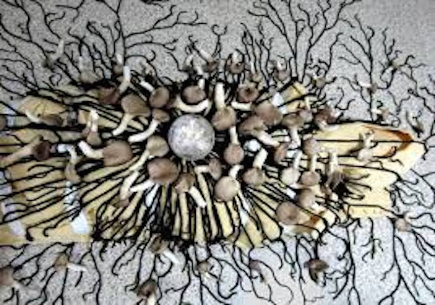 A burial suit to better decompose your body | Design Indaba