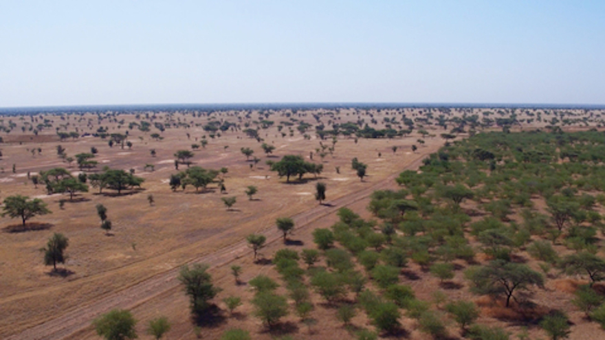 A garden that stretches across Africa | Design Indaba