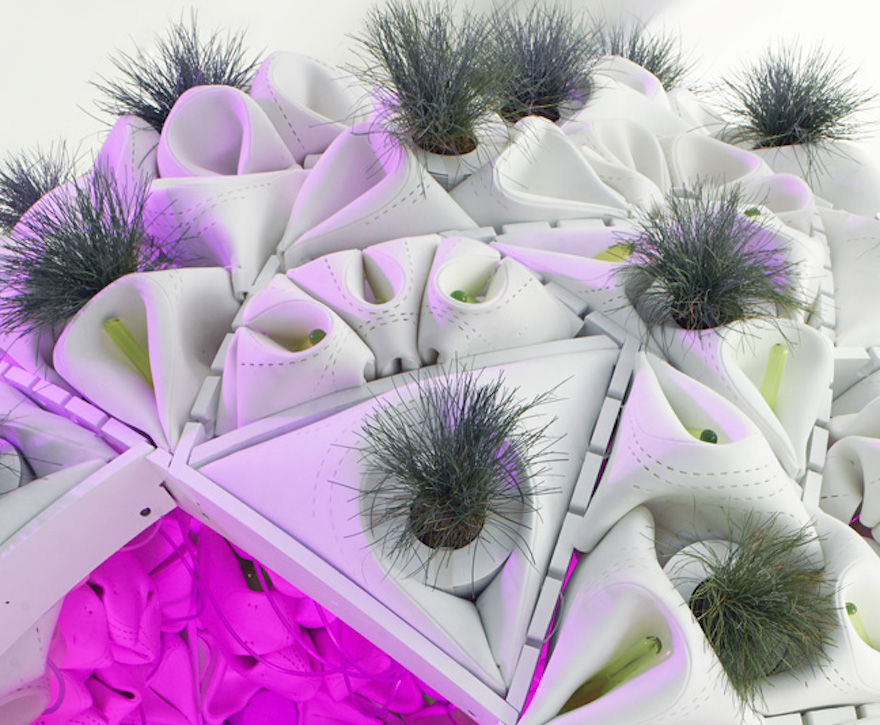 Urban Farm Pod: A plant growing sphere in urban spaces | Design Indaba