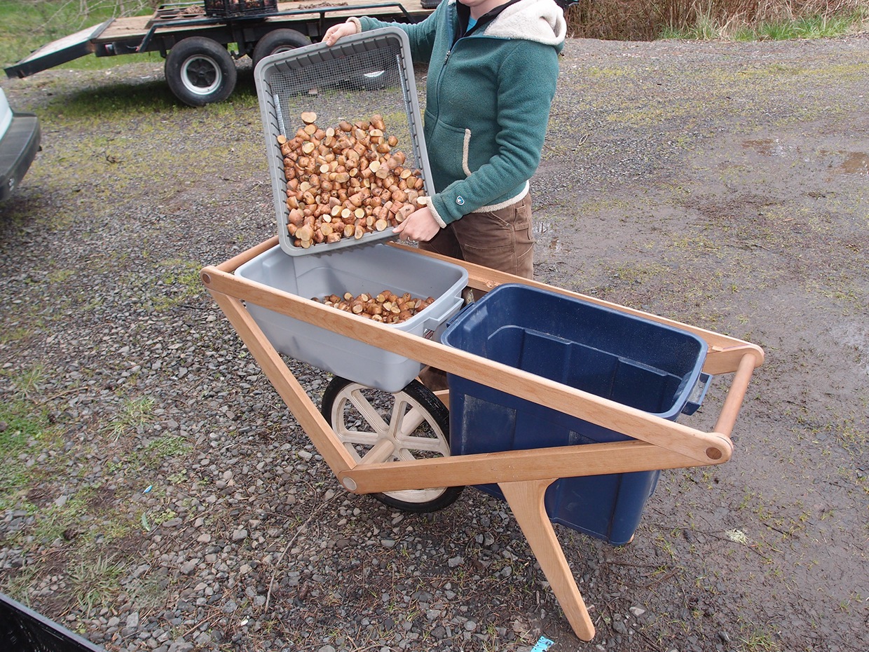 Green Product: Harvest Cart is a solution to backyard farming | Design ...