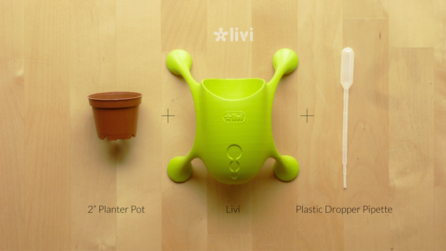 Livi brings nature indoors | Design Indaba