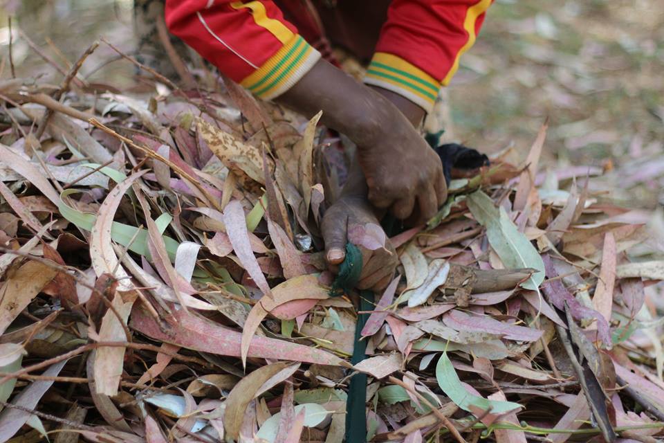 Photographer Martha Tadesse captures her Ethiopian truth | Design Indaba