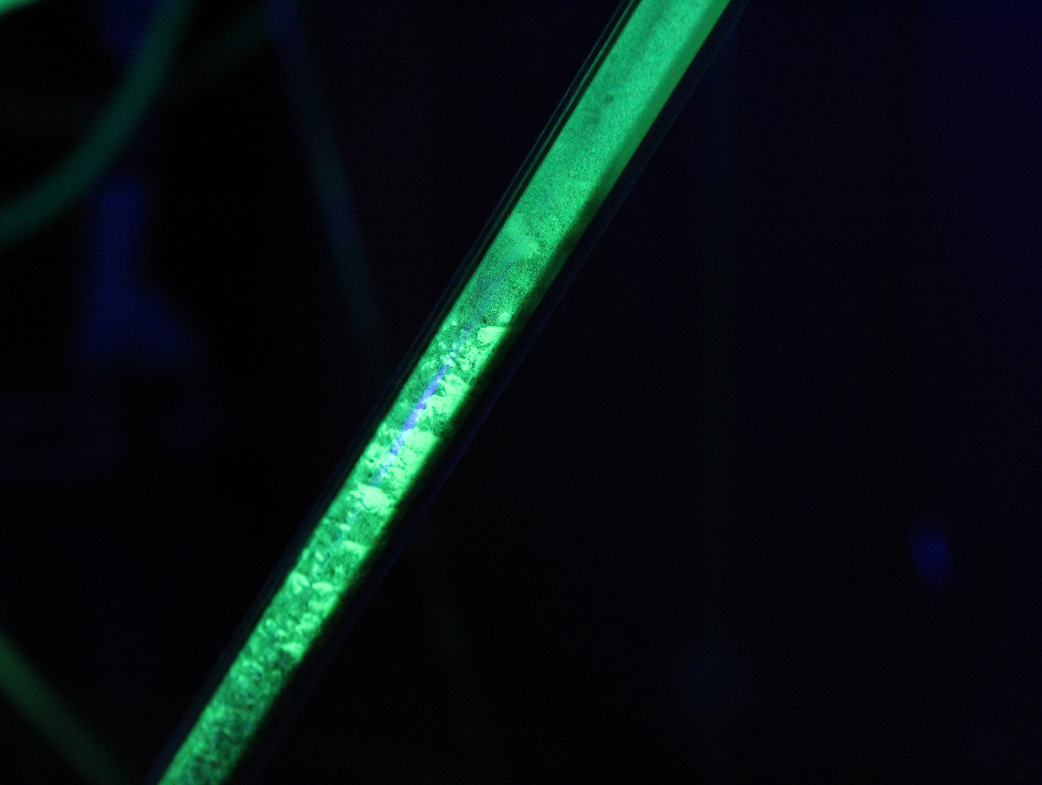 Biolux: Speculating on the future of indoor lighting | Design Indaba