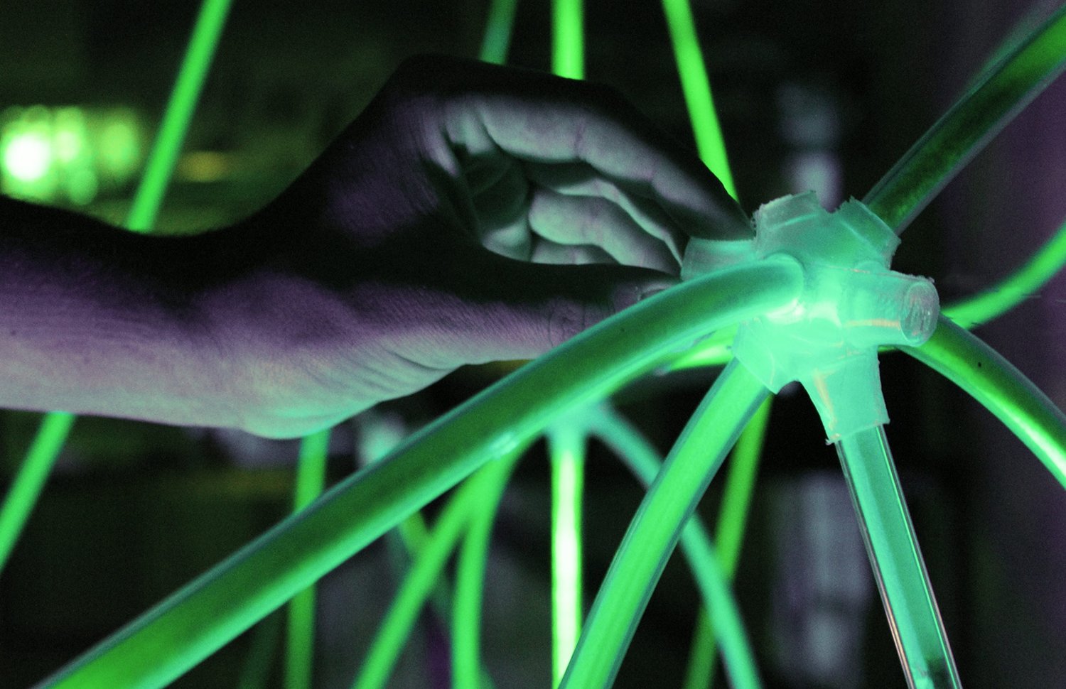 Biolux: Speculating on the future of indoor lighting | Design Indaba