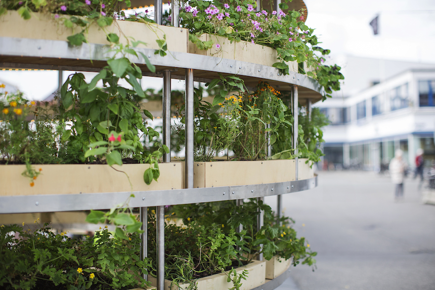 The Growroom: Architecture that feeds the city | Design Indaba