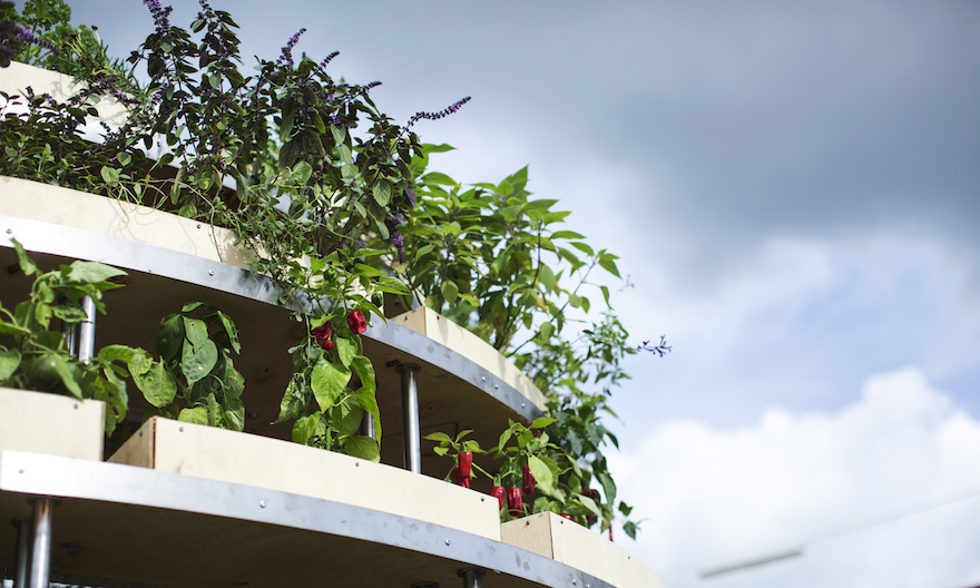 The Growroom: Architecture that feeds the city | Design Indaba