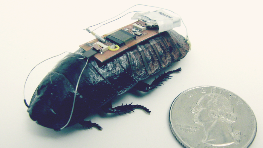 5 stories that show technology combined with bugs can result in great ...
